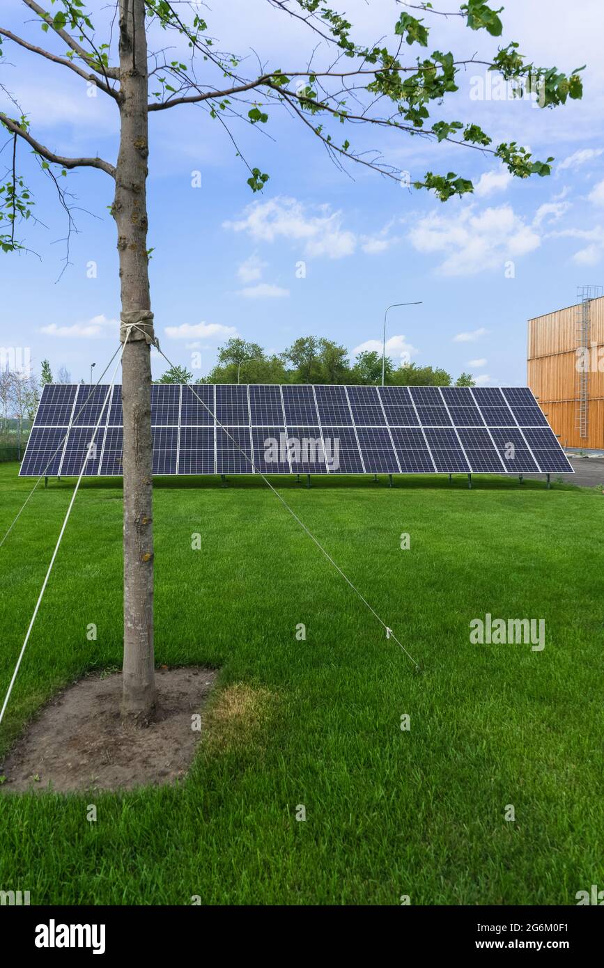green grass lawn with solar panels at daylight Stock Photo - Alamy