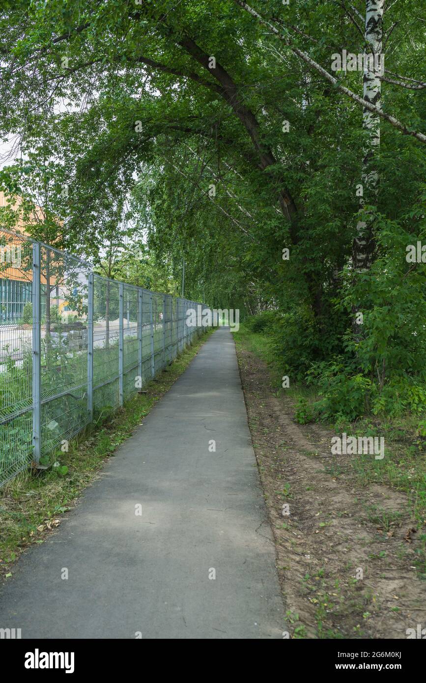 summer birch trees alley with concrete road near facility over fence ...