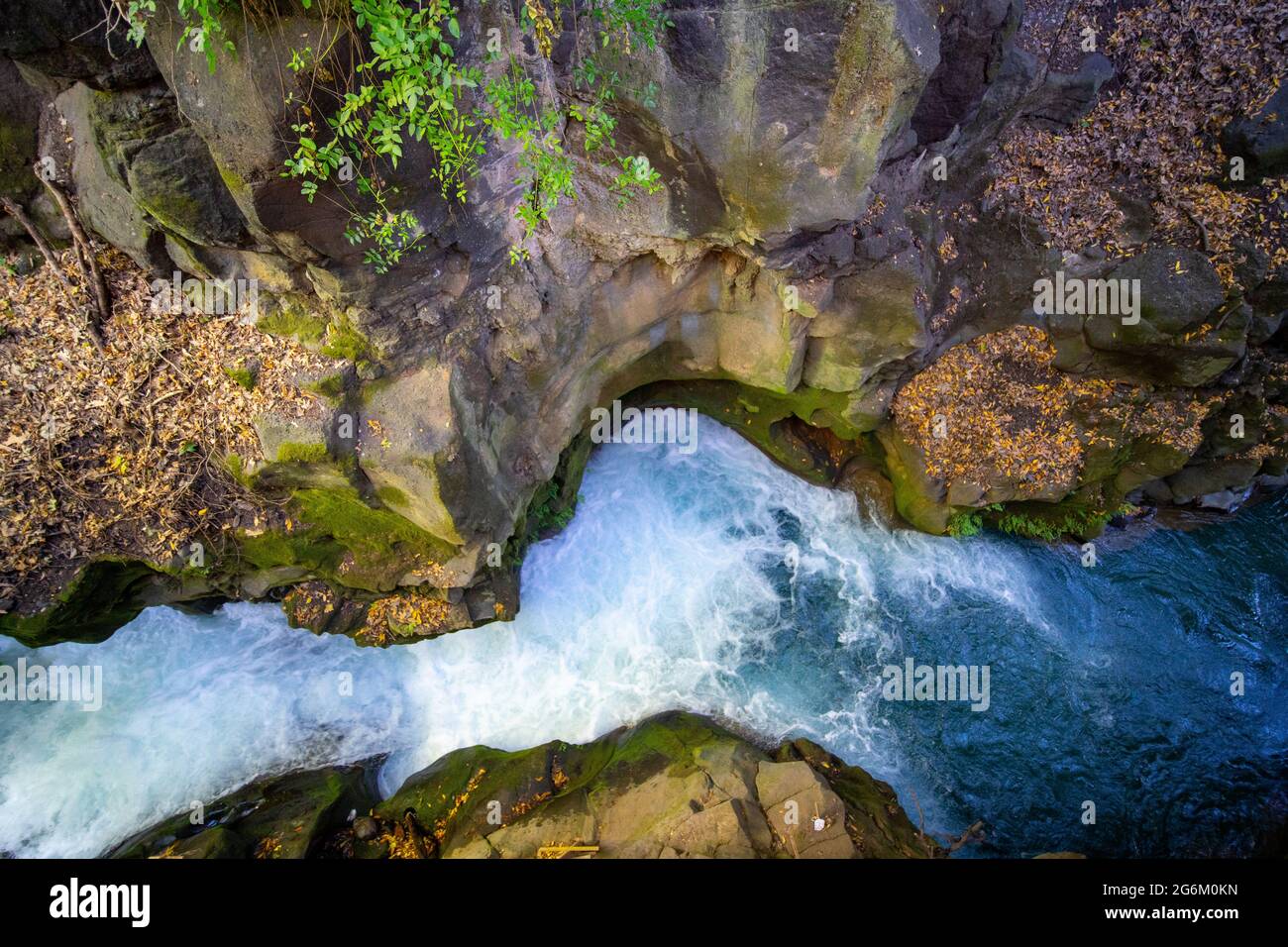 Banias Spring and Stream (Banias River or Hermon River) Golan Heights ...