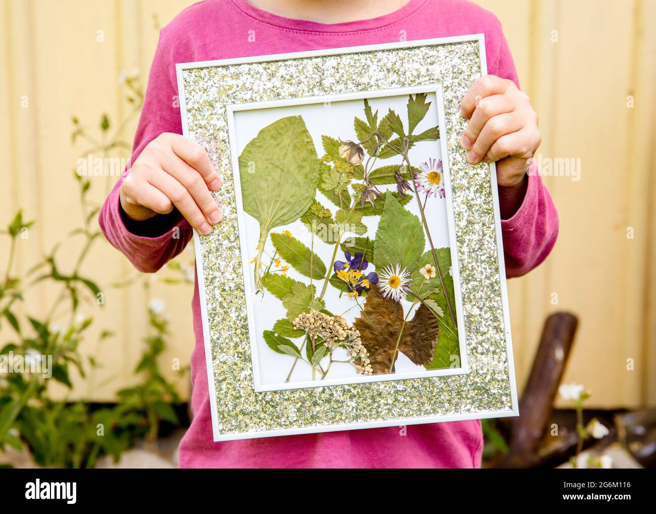 Child showing handmade dried pressed real flowers plants in picture ...