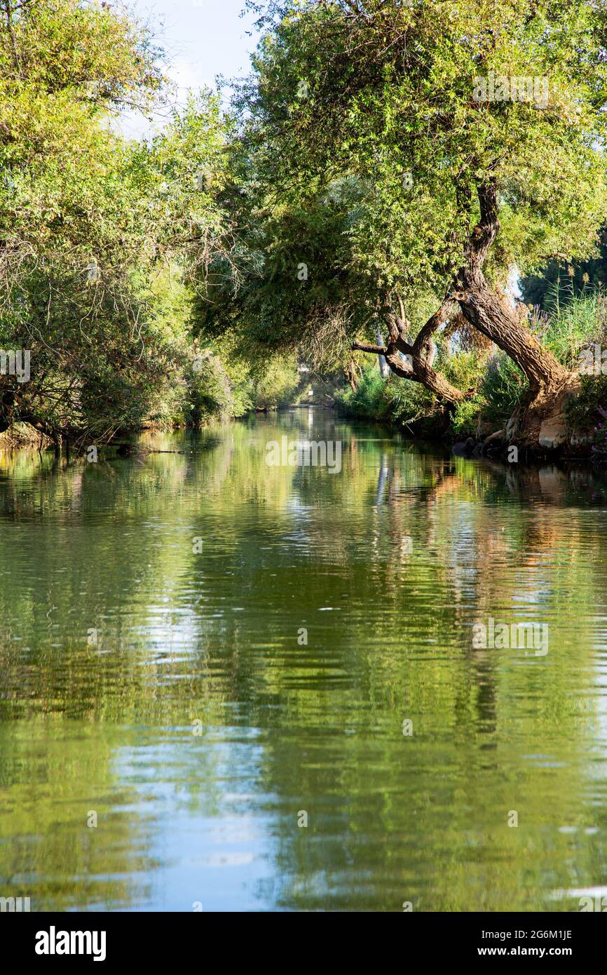 Pond clean spring hi-res stock photography and images - Alamy
