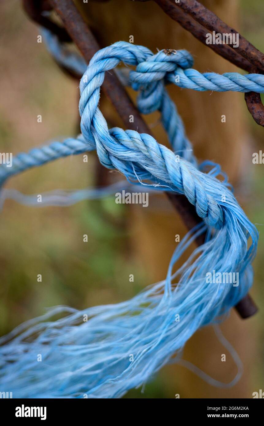 Pollyester hi-res stock photography and images - Alamy