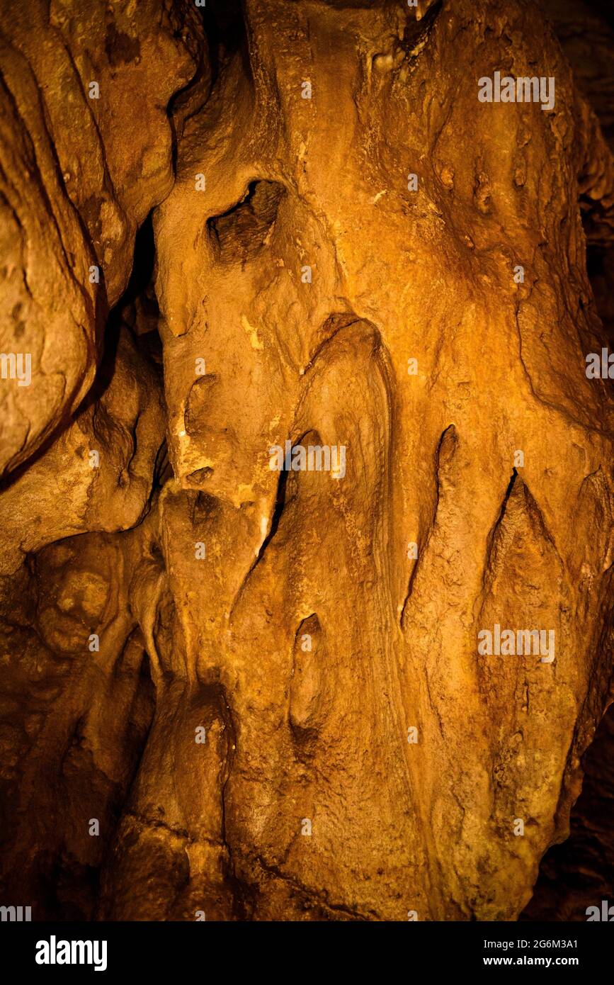 Visiting the Coves del Toll caves in Moià. Some geological and fossil ...
