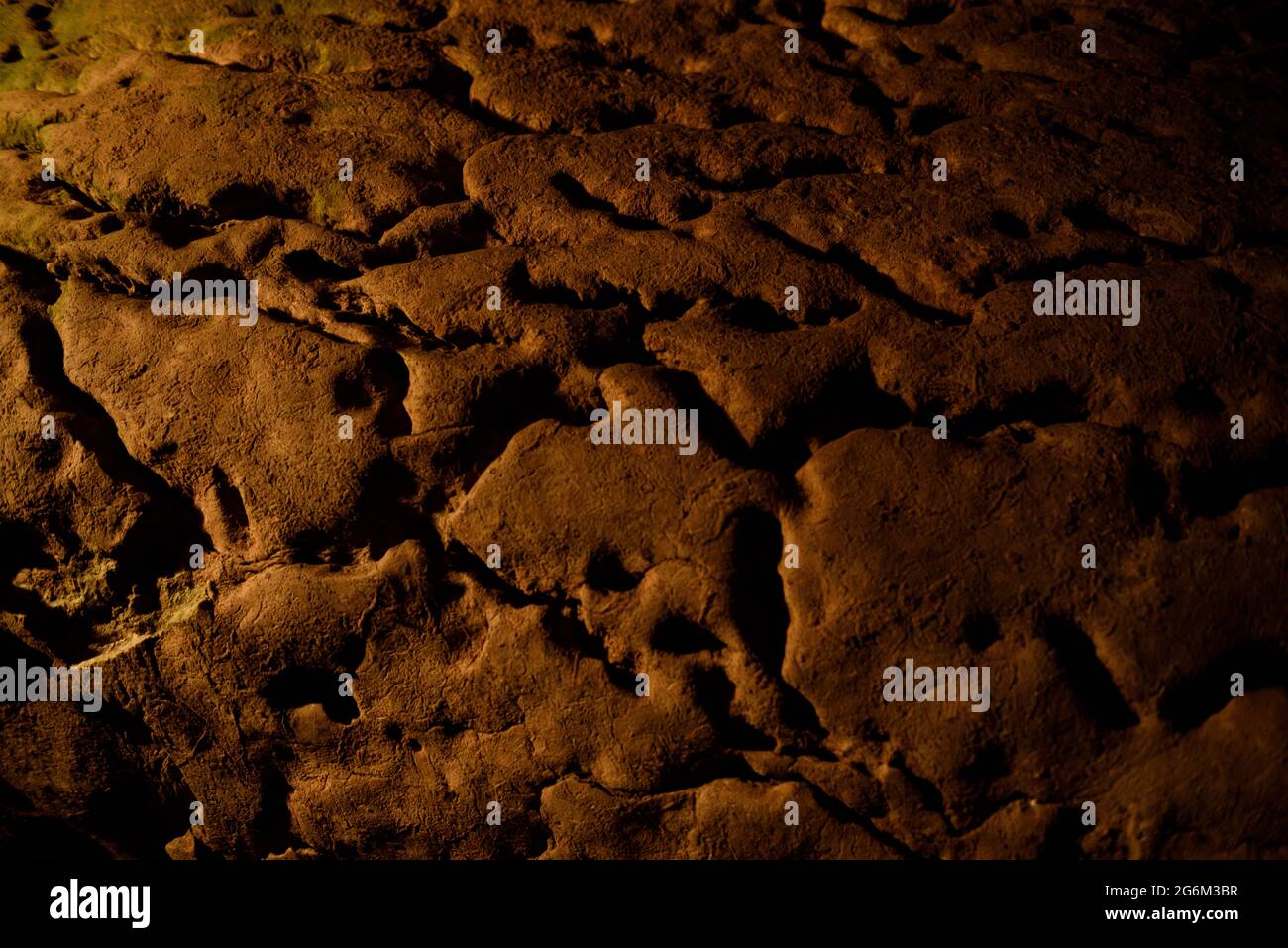 Visiting the Coves del Toll caves in Moià. Some geological and fossil ...