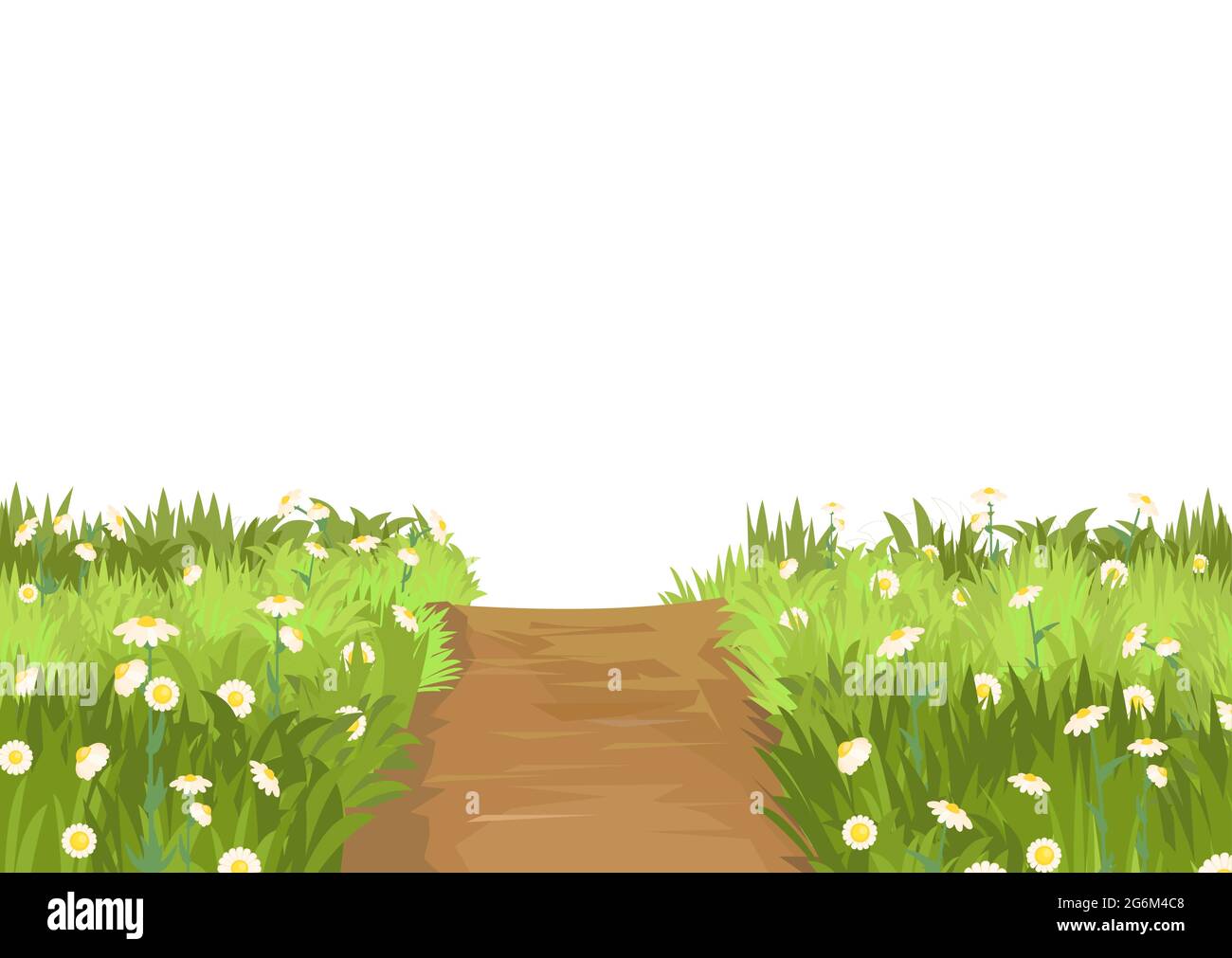 Road. Meadow with wildflowers. illustration. Grass close-up. Green ...