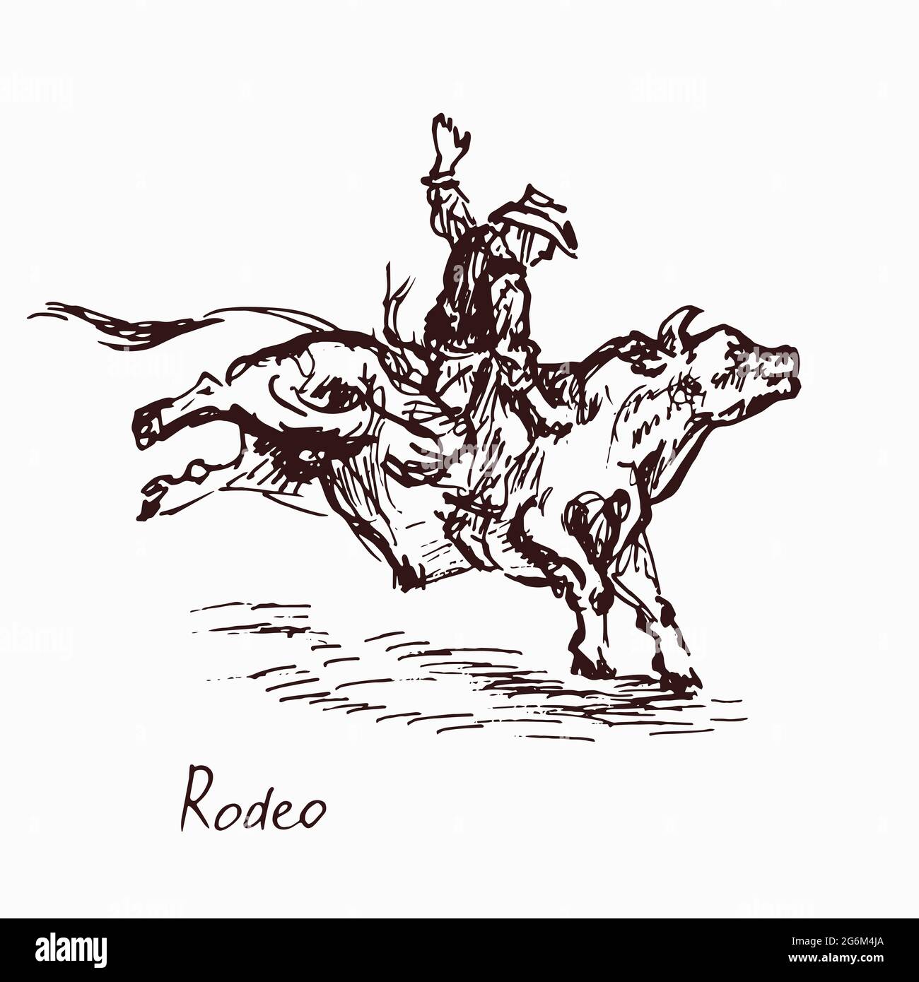 Bull Riding Drawings