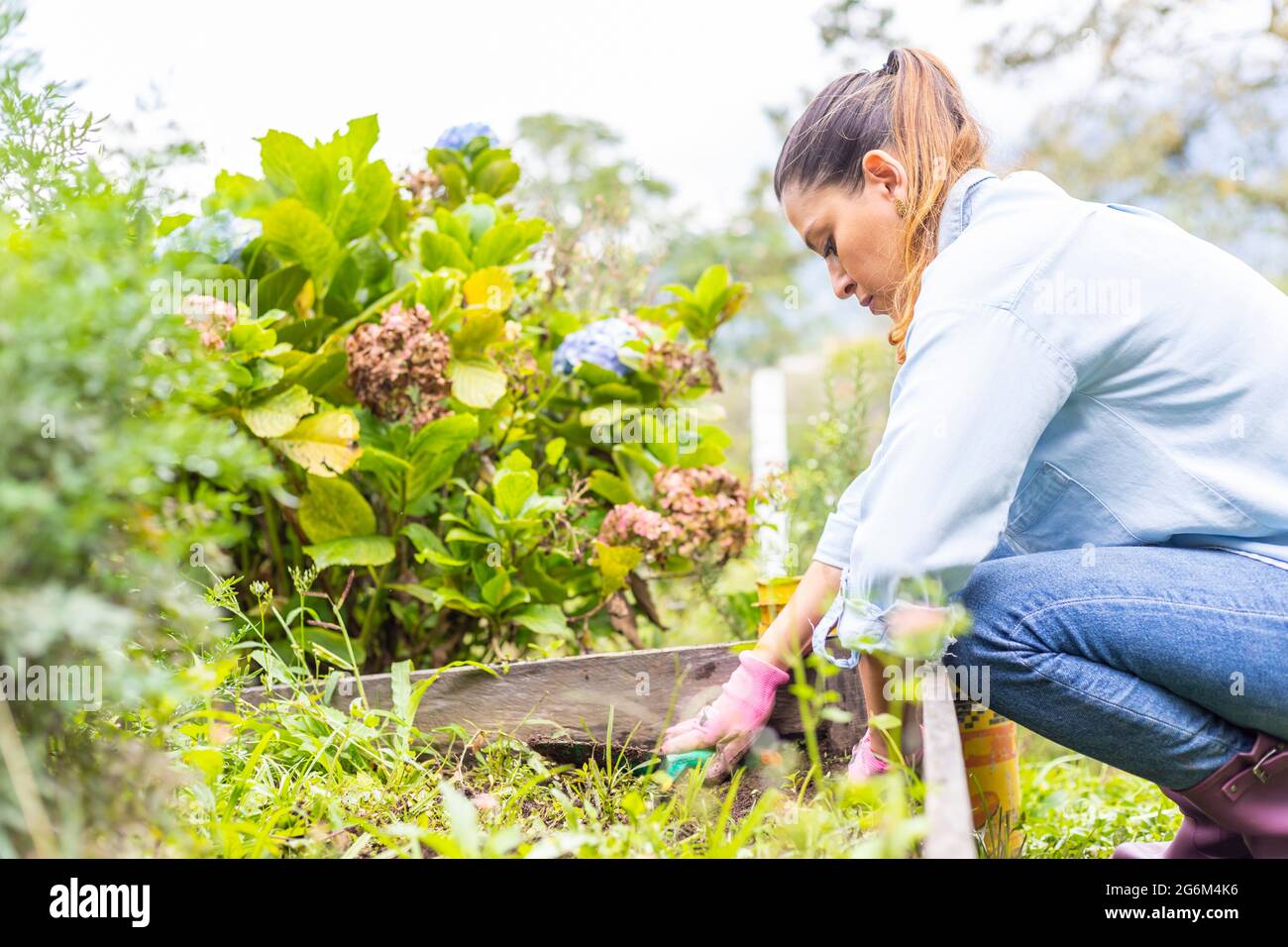 Woman digging with her gardening shovel to plant a seedling Stock Photo ...