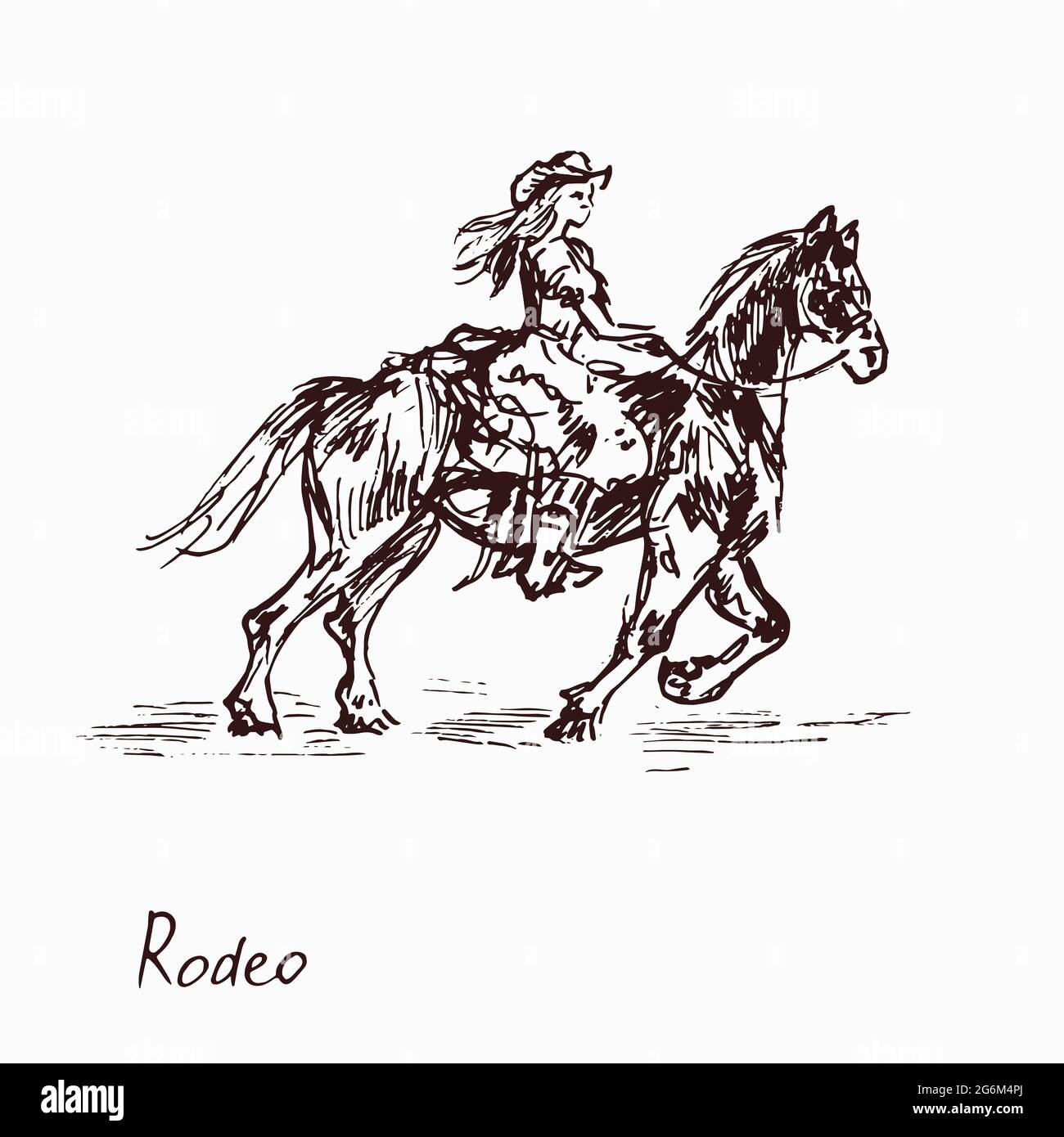 Rodeo Horse Drawings