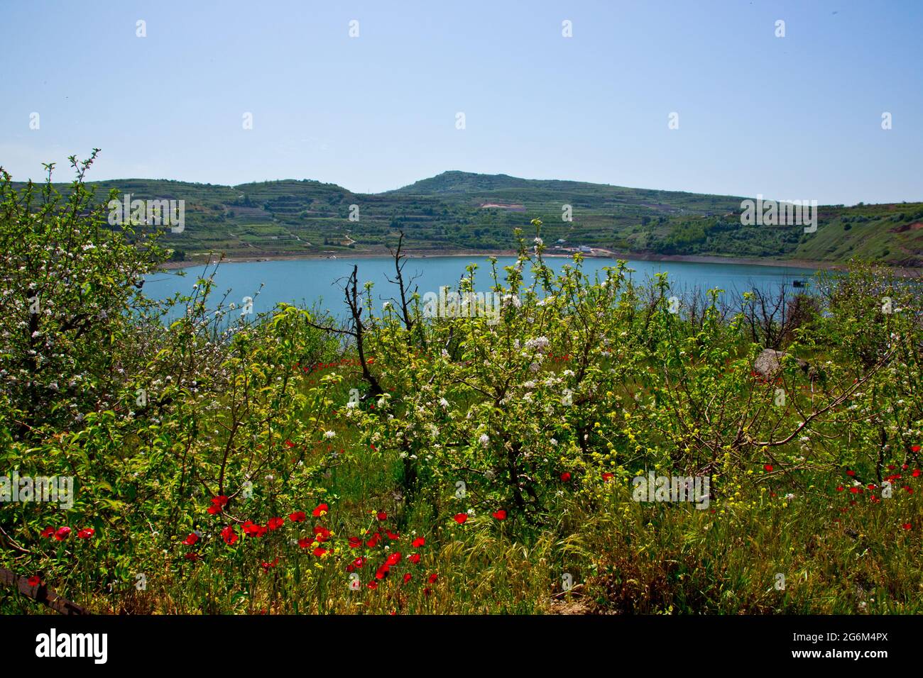 View of sea of galilee lake tiberias hi-res stock photography and ...