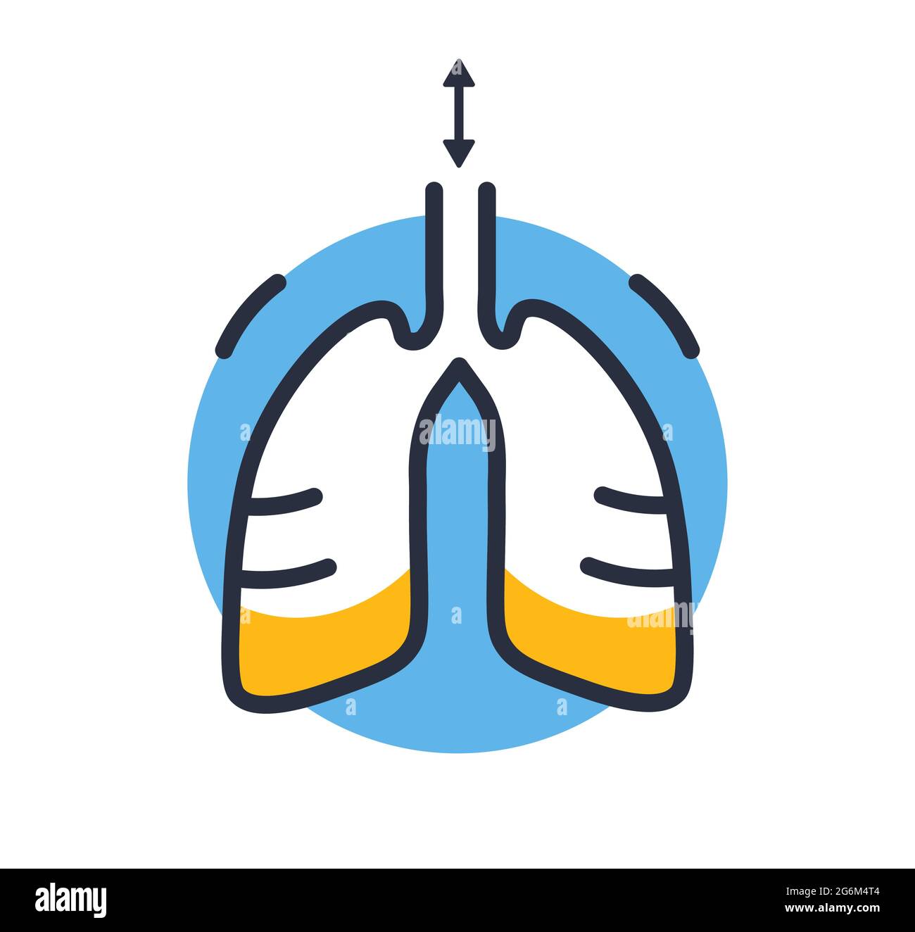 lungs icon. Respiratory system isolated on white background. Design ...