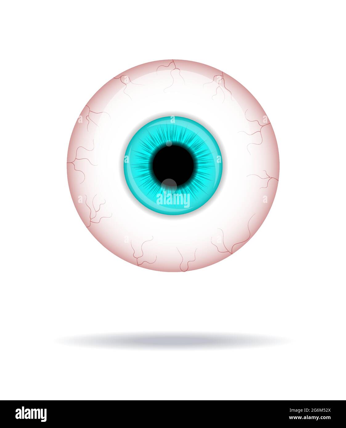 Realistic human eyeball. Eyeball with blue iris photo realistic vector ...