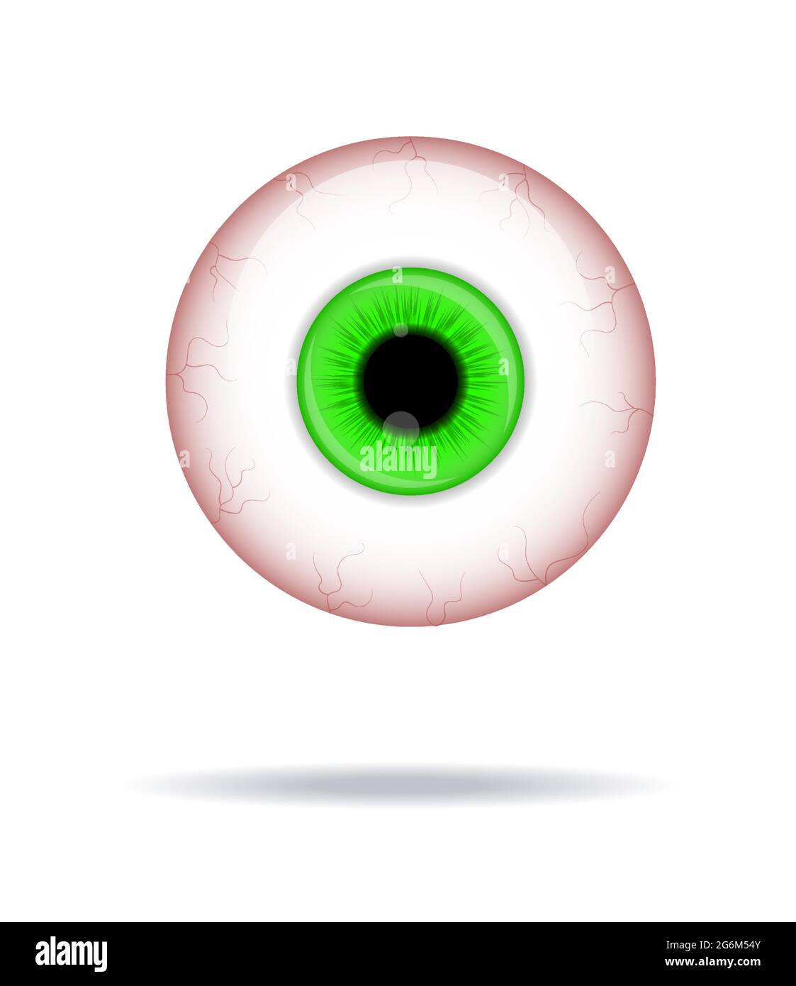Real Eyeball Vector