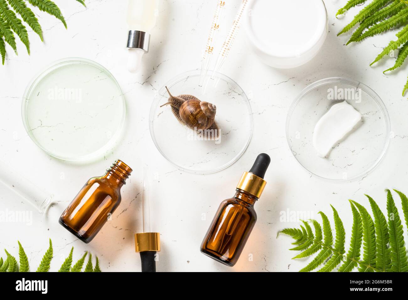 Snail mucin products at white background. Natural cosmetic Stock Photo ...