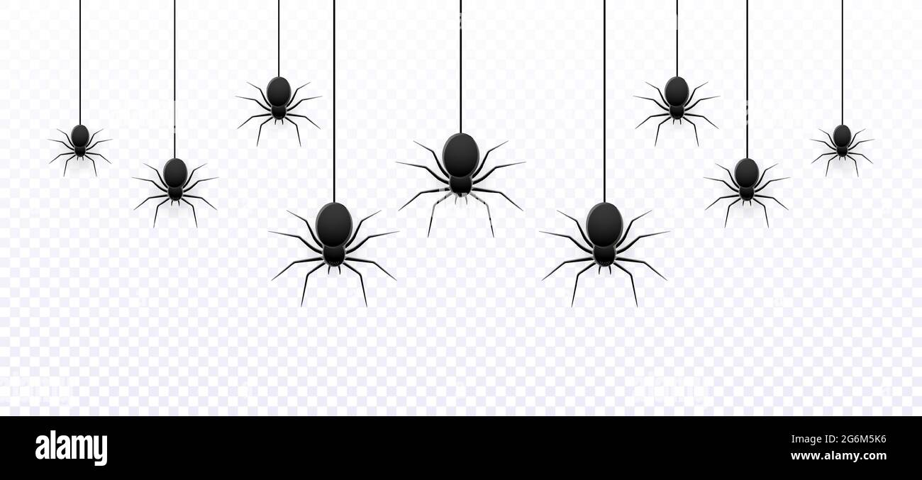 Vector realistic isolated seamless pattern with hanging spiders for ...
