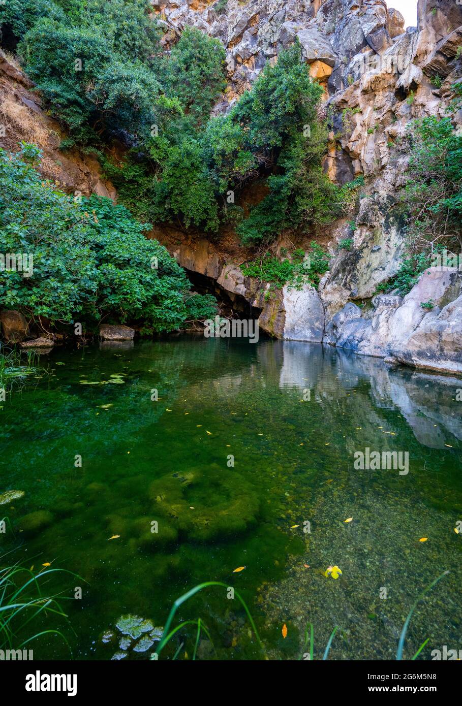 Israel, Golan Heights, Saar stream and waterfall nature reserve Stock ...