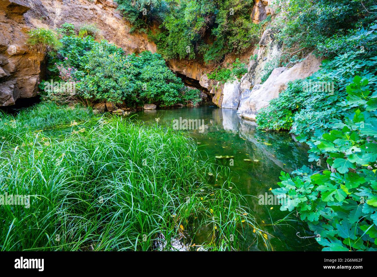 Israel, Golan Heights, Saar stream and waterfall nature reserve Stock ...