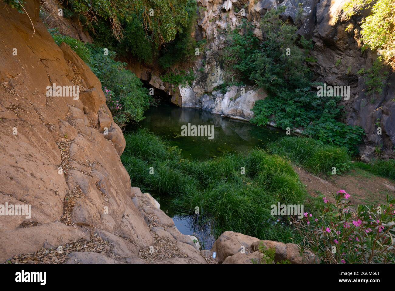 Israel, Golan Heights, Saar stream and waterfall nature reserve Stock ...