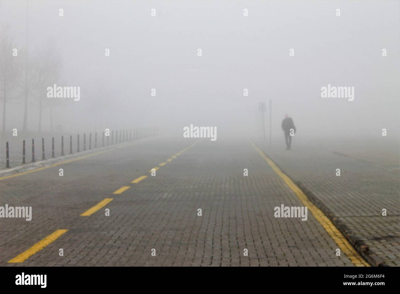 Yesil bitkiler hi-res stock photography and images - Alamy