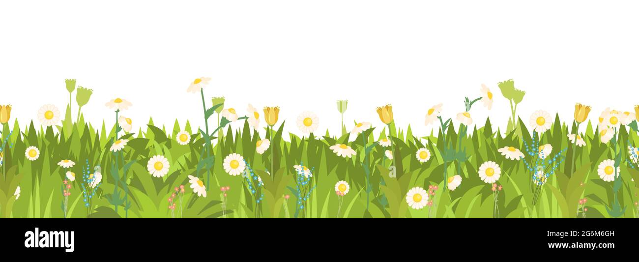 Meadow with wildflowers. Seamless illustration. Grass close-up. Green ...