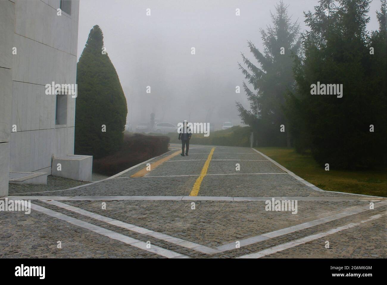 Yesil bitkiler hi-res stock photography and images - Alamy