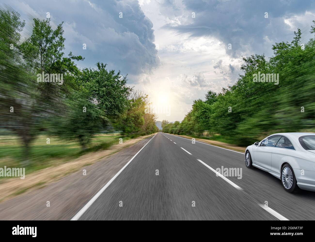 White car drives down the road through the forest along the highway ...