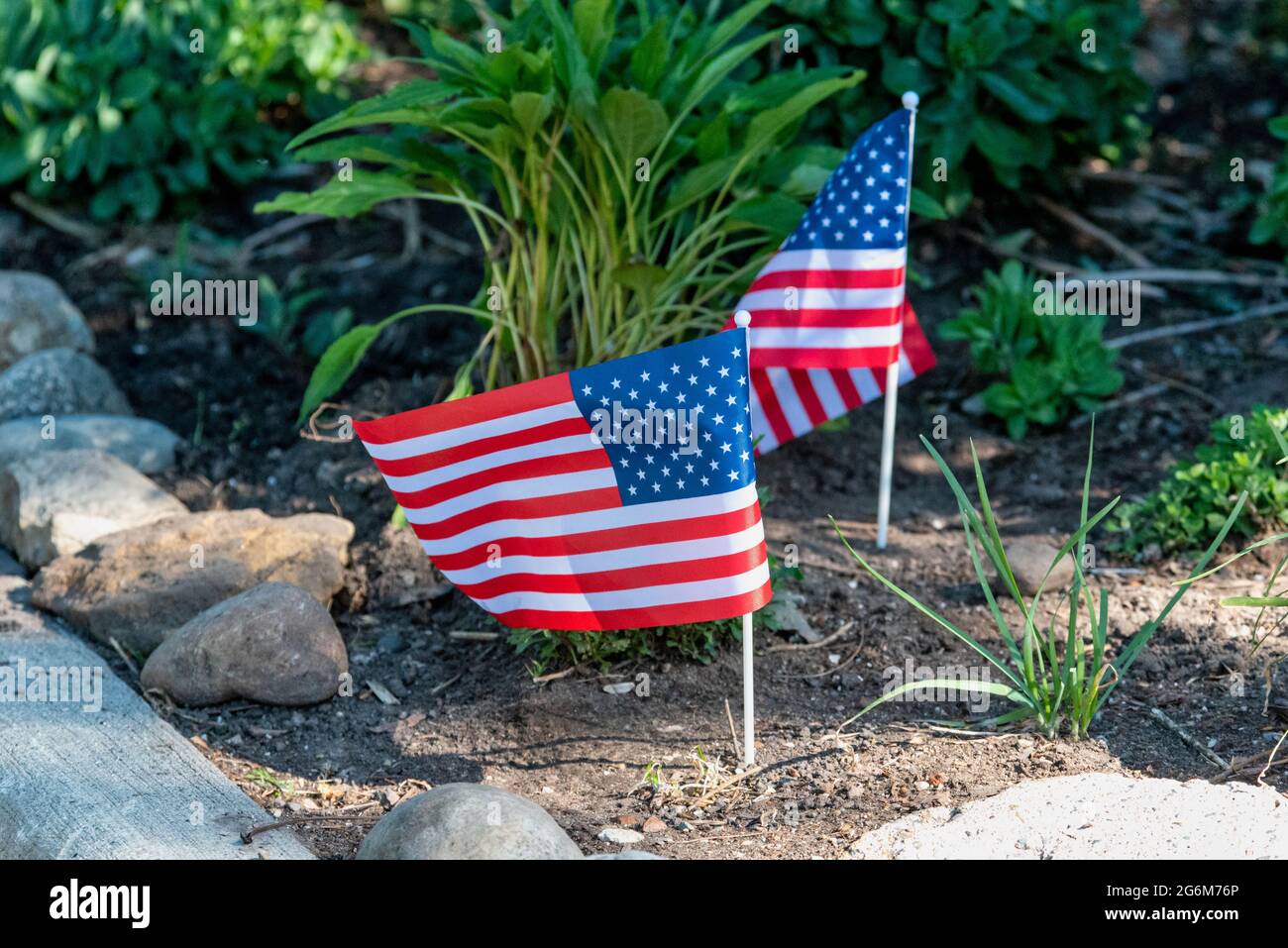 Patriotic flower bed hi-res stock photography and images - Alamy