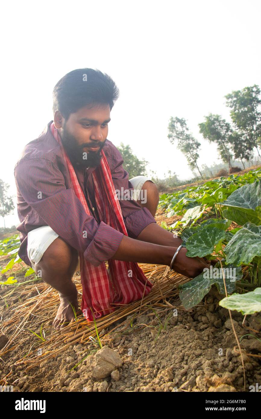 Indian villager worker hi-res stock photography and images - Alamy