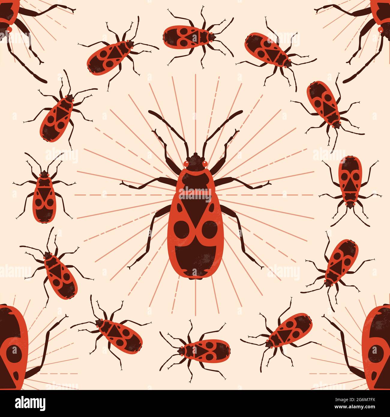 Firebug pyrrhocoris apterus Stock Vector Images - Alamy