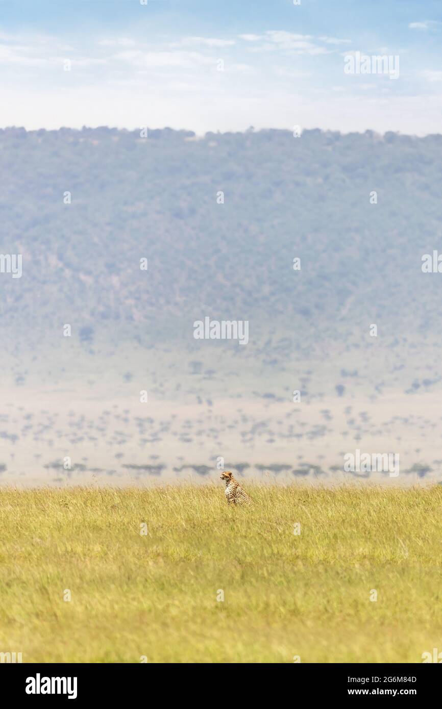 Oloololo escarpment and masai mara hi-res stock photography and images ...