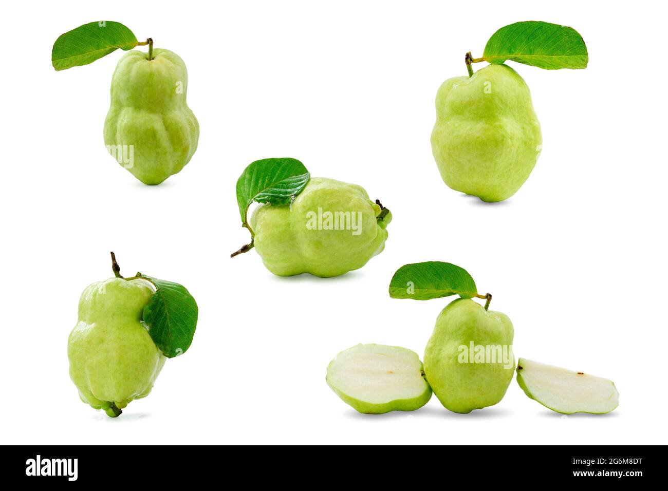 Collection group of fresh guavas with green leaves isolated on white ...