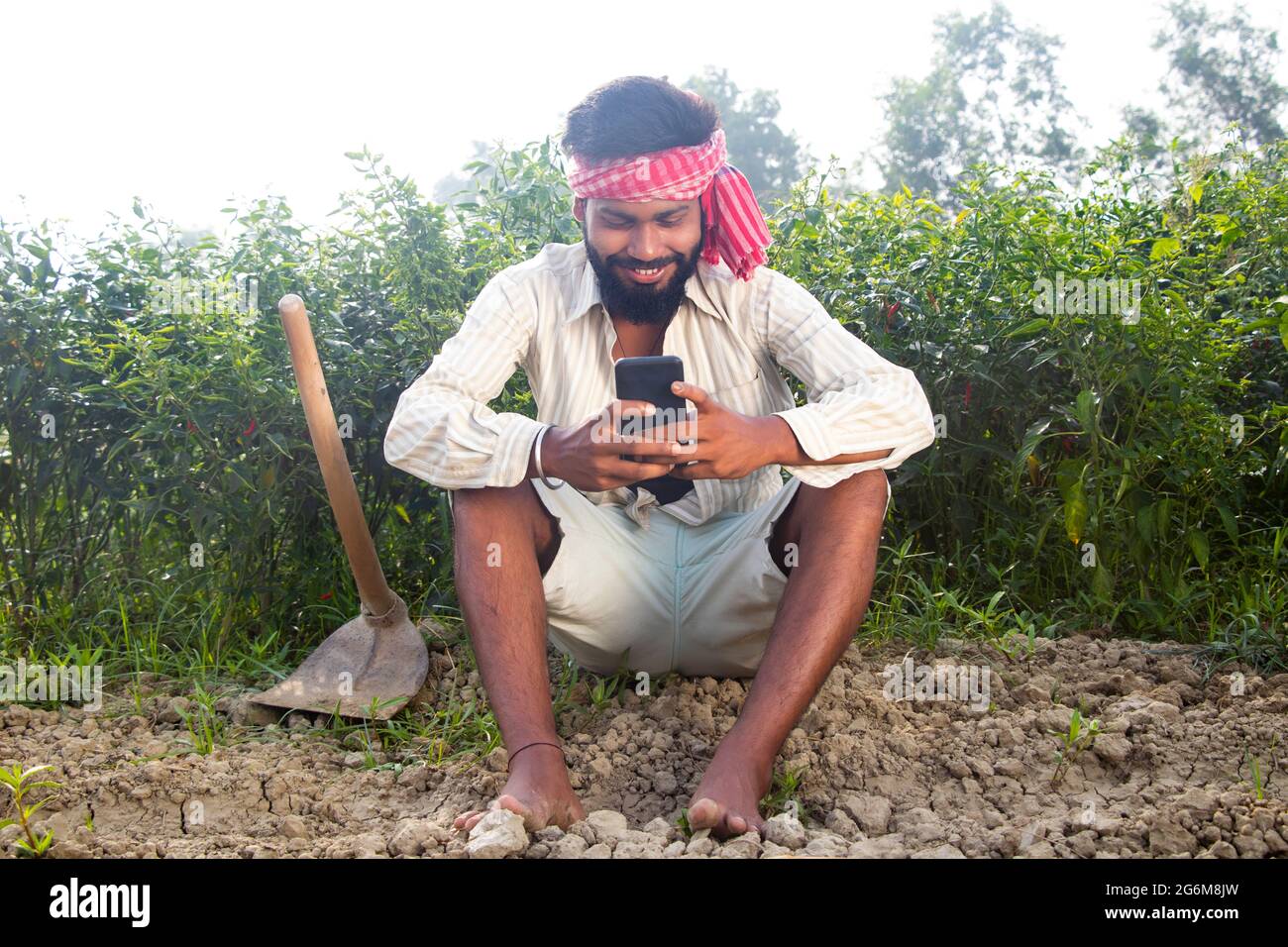 Indian Young Farmer Using Smart Phone Sitting in their agriculture ...
