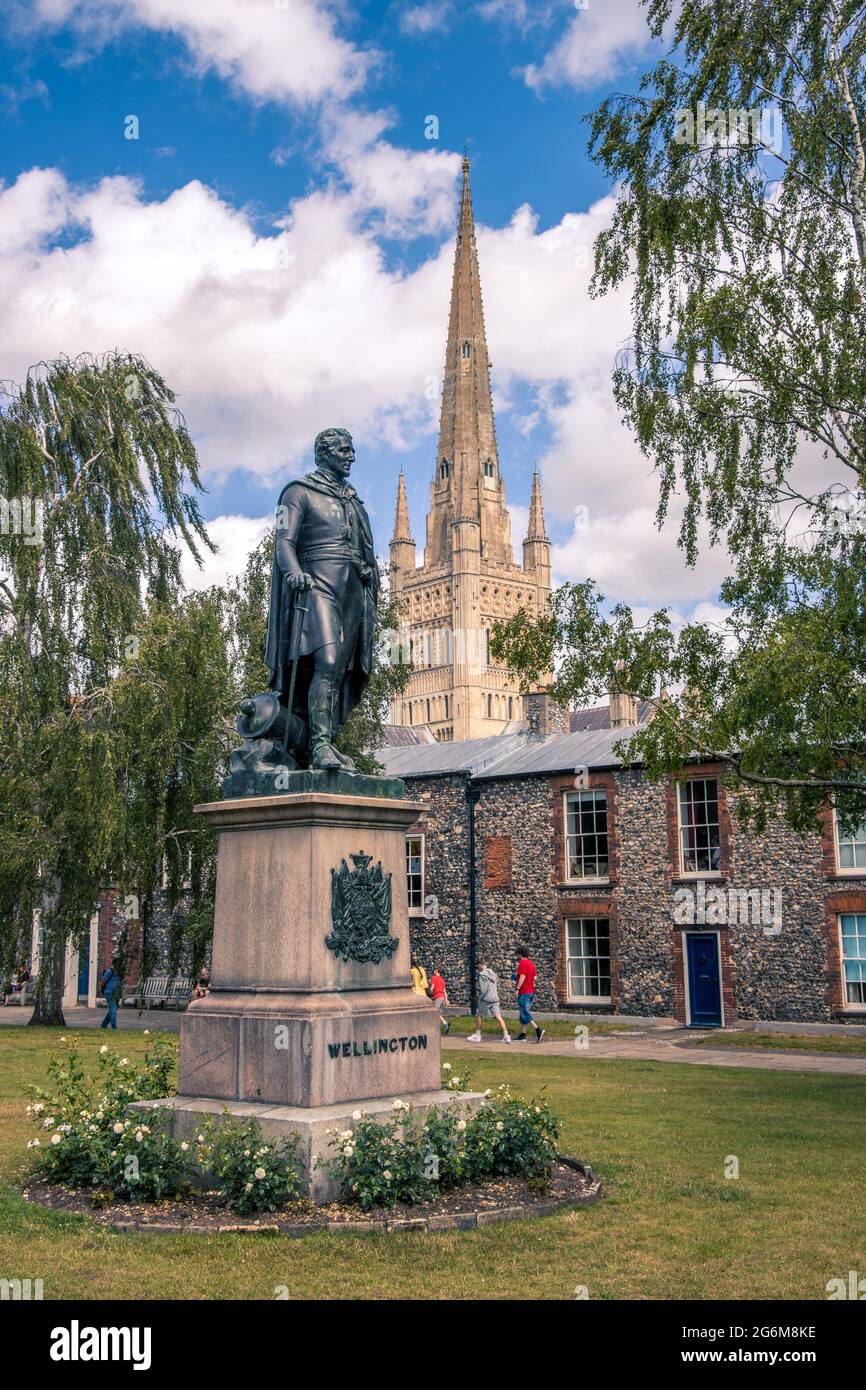 View of a statue with old flint cottages and the tower of Norwich ...