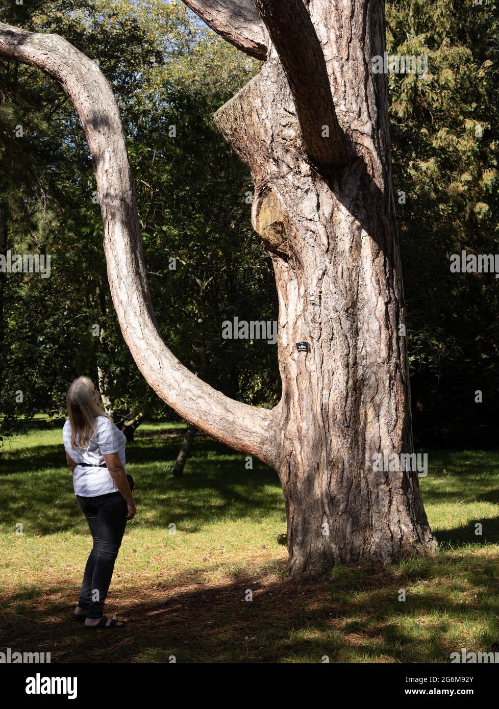 Cambridge university botanical gardens hi-res stock photography and ...