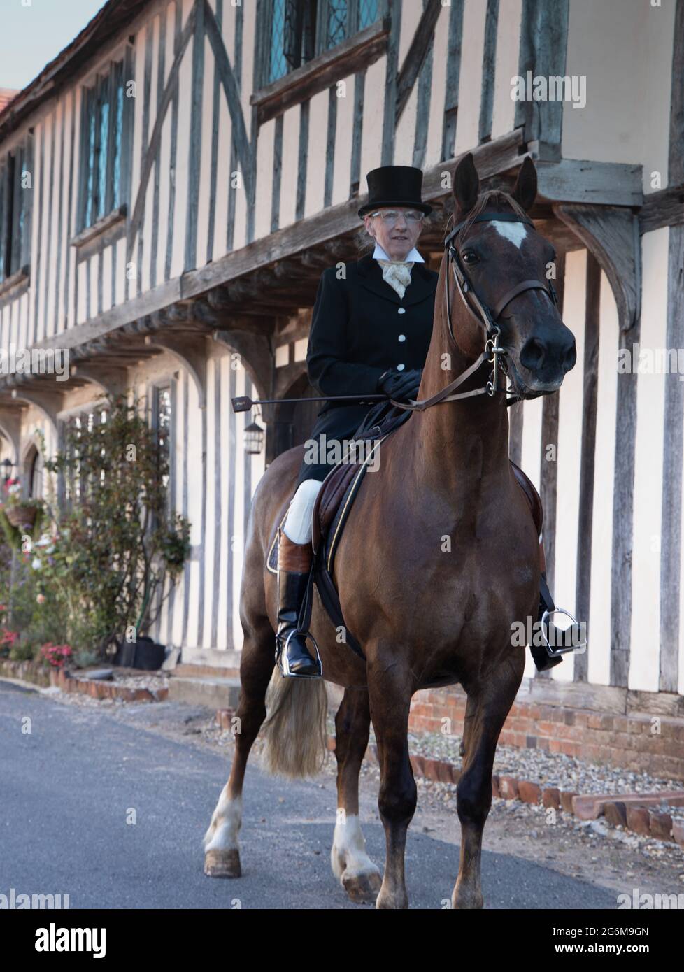 Lady riding a horse hi-res stock photography and images - Alamy