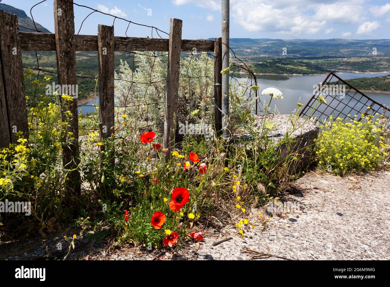 The photo shows an old fence with various wildflowers and the view of a ...