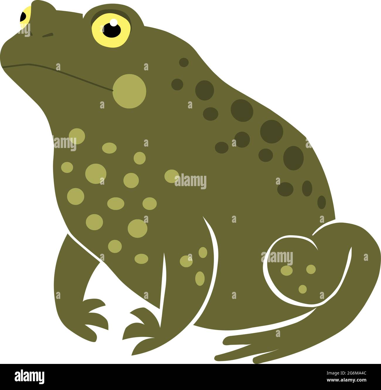 Illustration of a sitting toad Stock Vector Image & Art - Alamy