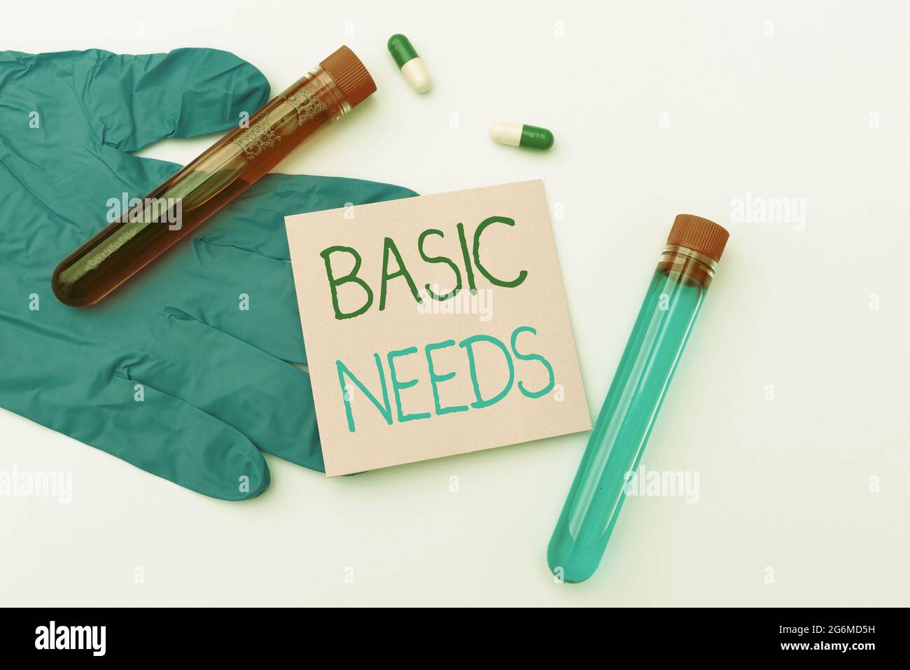 Conceptual caption Basic Needs. Word Written on necessary to sustain ...