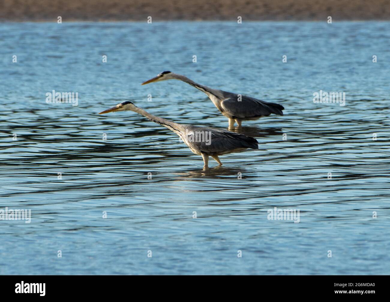 Uk lakes fishing hi-res stock photography and images - Alamy