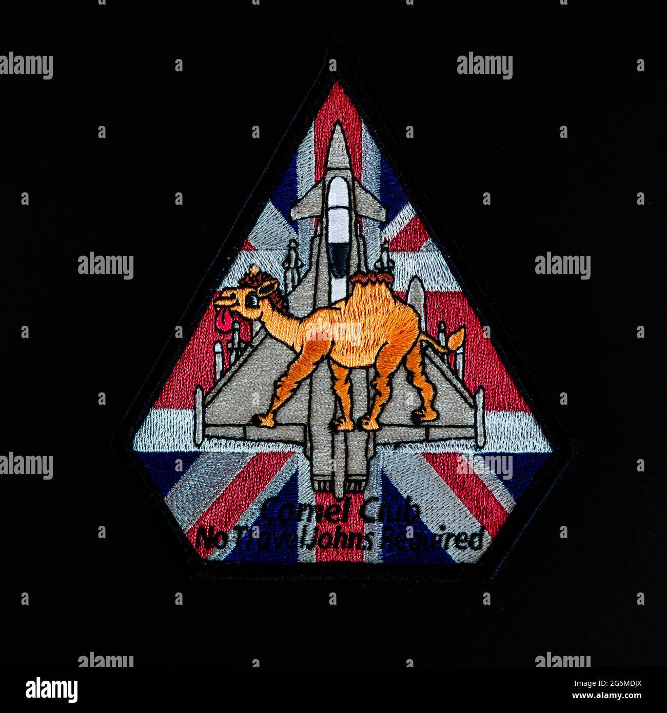 No. 3 (Fighter) Squadron Royal Air Force Typhoon Spearhead Patch Camel ...
