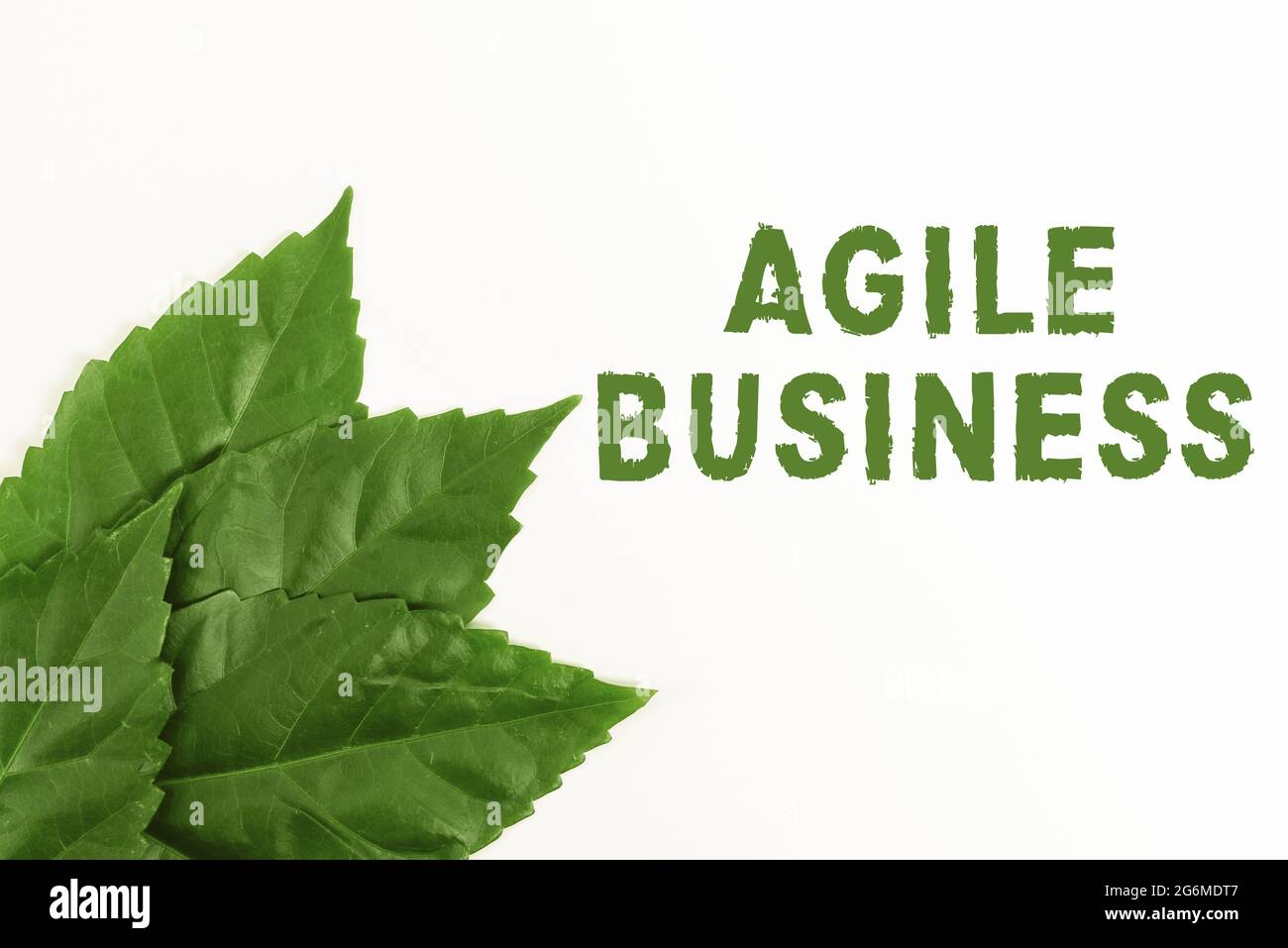 Inspiration showing sign Agile Business. Internet Concept capability of ...