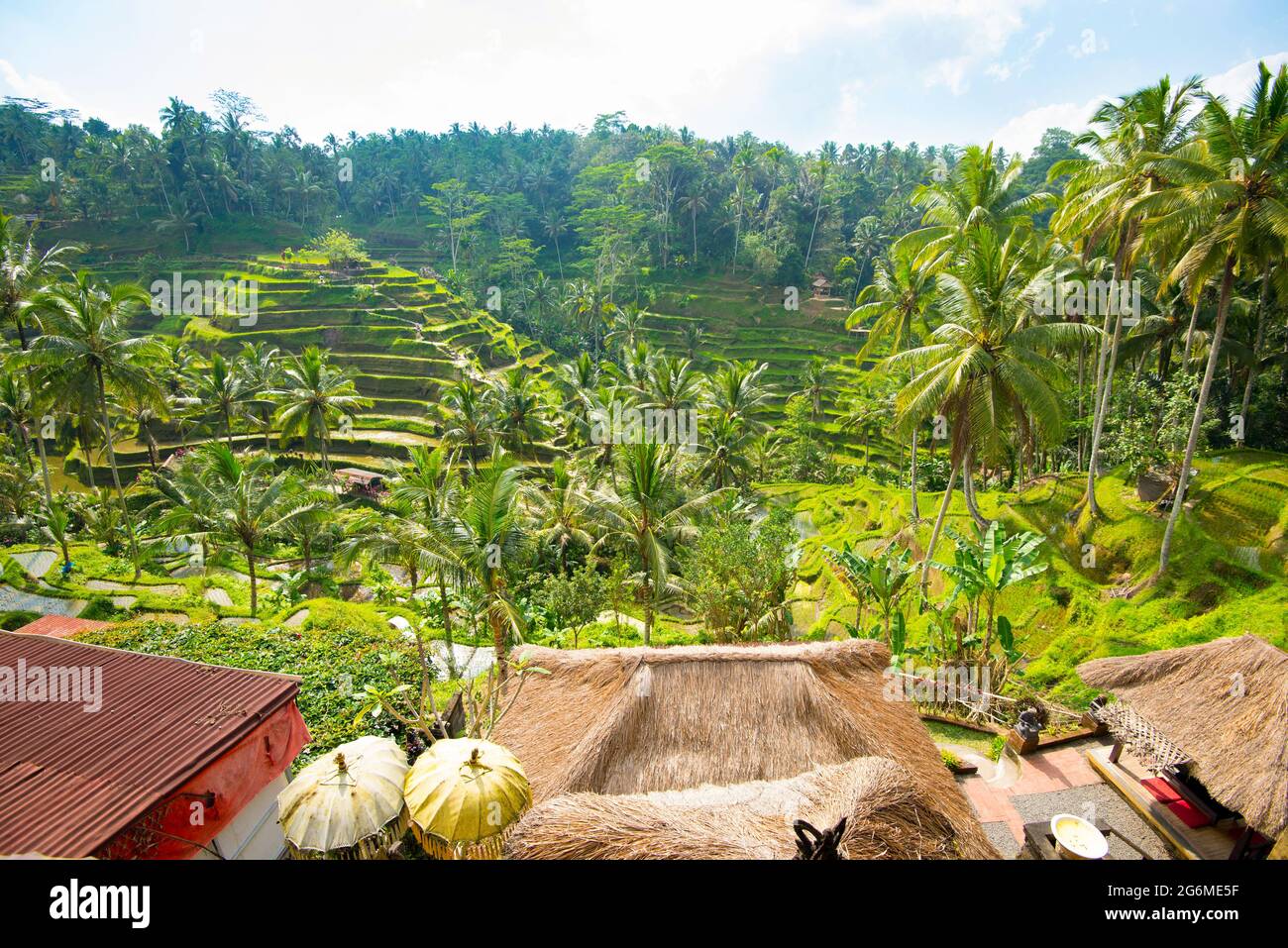 Tegalalang Rice Terraces in Ubud, Bali, Indonesia Stock Photo - Alamy