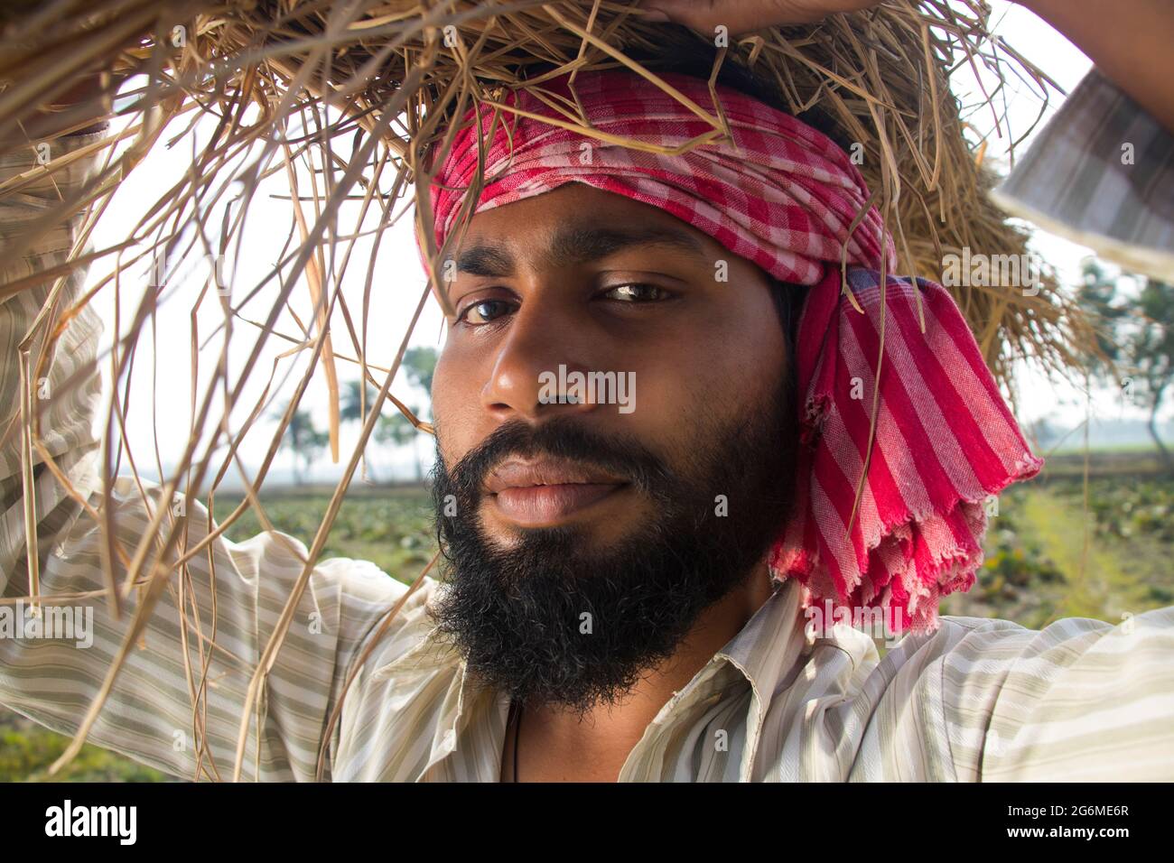 Indian Farmer Carrying Bundle of Paddy Crop Stock Photo - Alamy