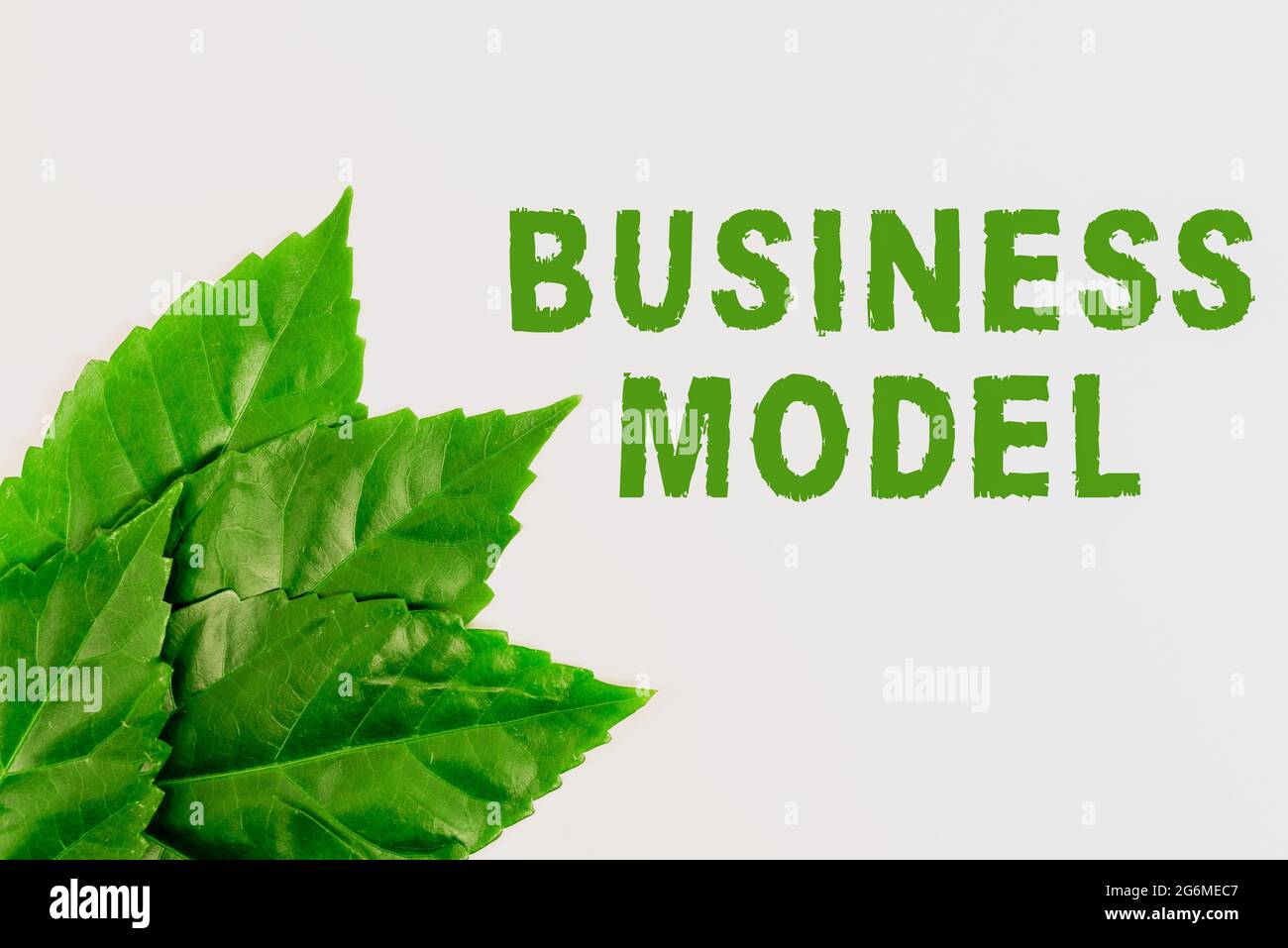 Conceptual display Business Model. Business showcase model showing how ...