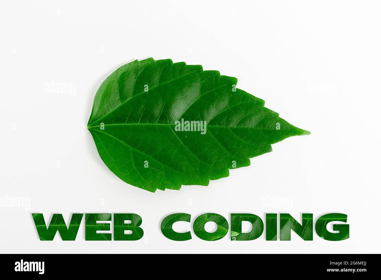 Text caption presenting Web Coding. Business idea a system of symbols ... Text caption presenting Web Coding. Business idea a system of symbols ...