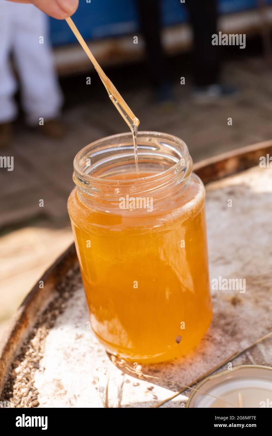 Jar of fresh bee honey, just harvested Stock Photo - Alamy