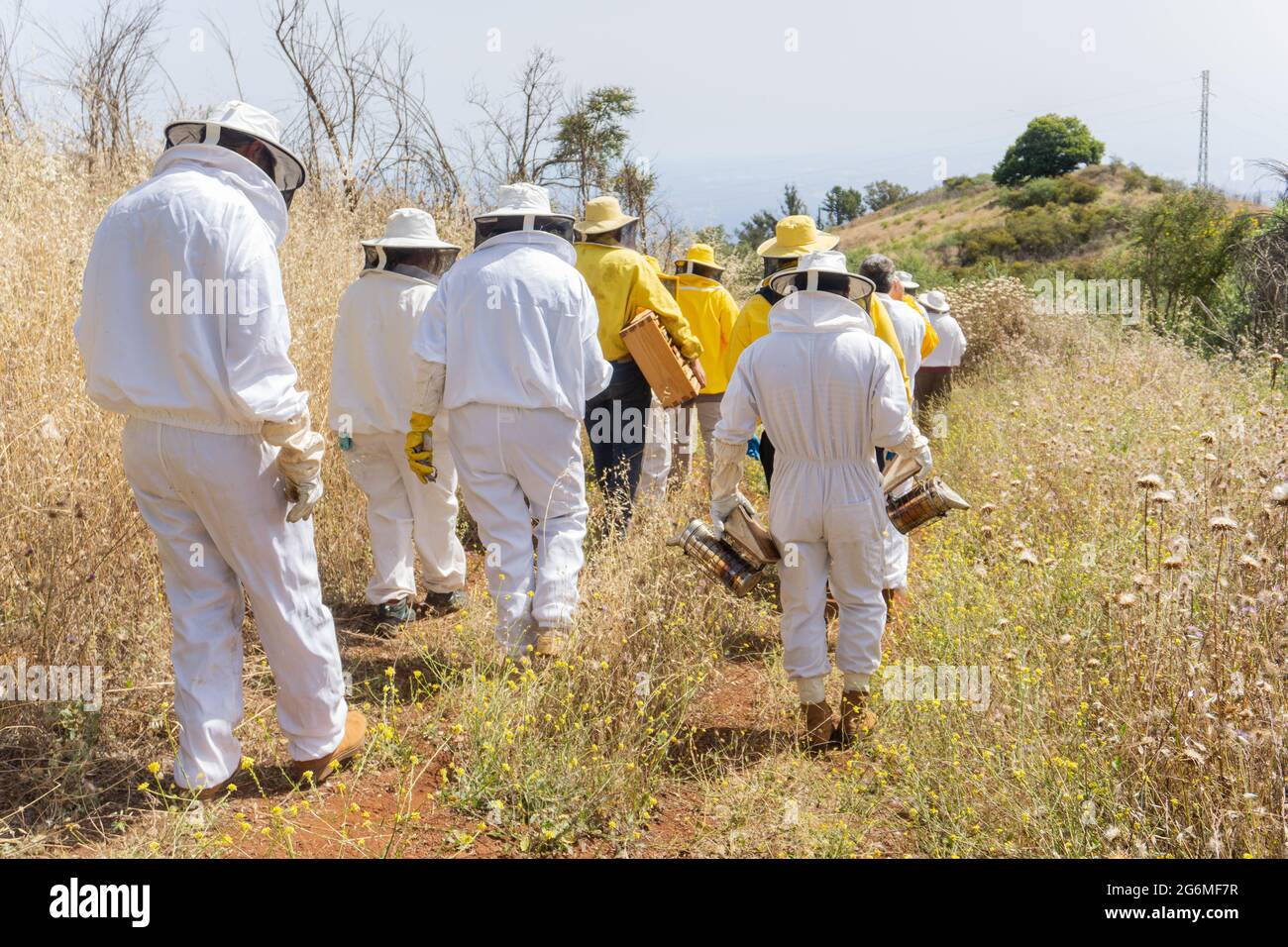 Group of beekeepers with their protections, walking together towards ...