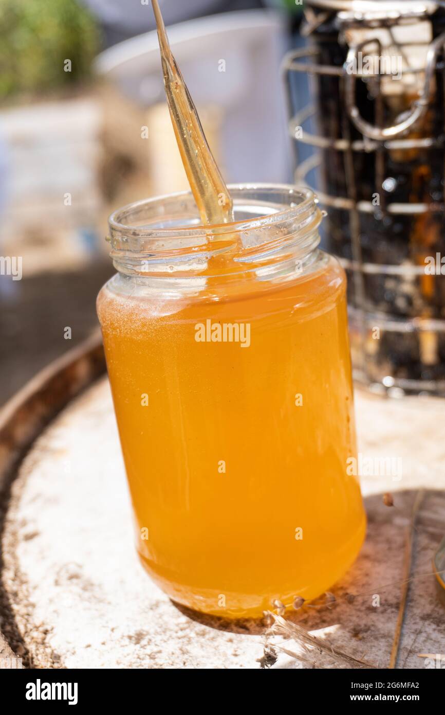Jar of fresh bee honey, just harvested Stock Photo - Alamy