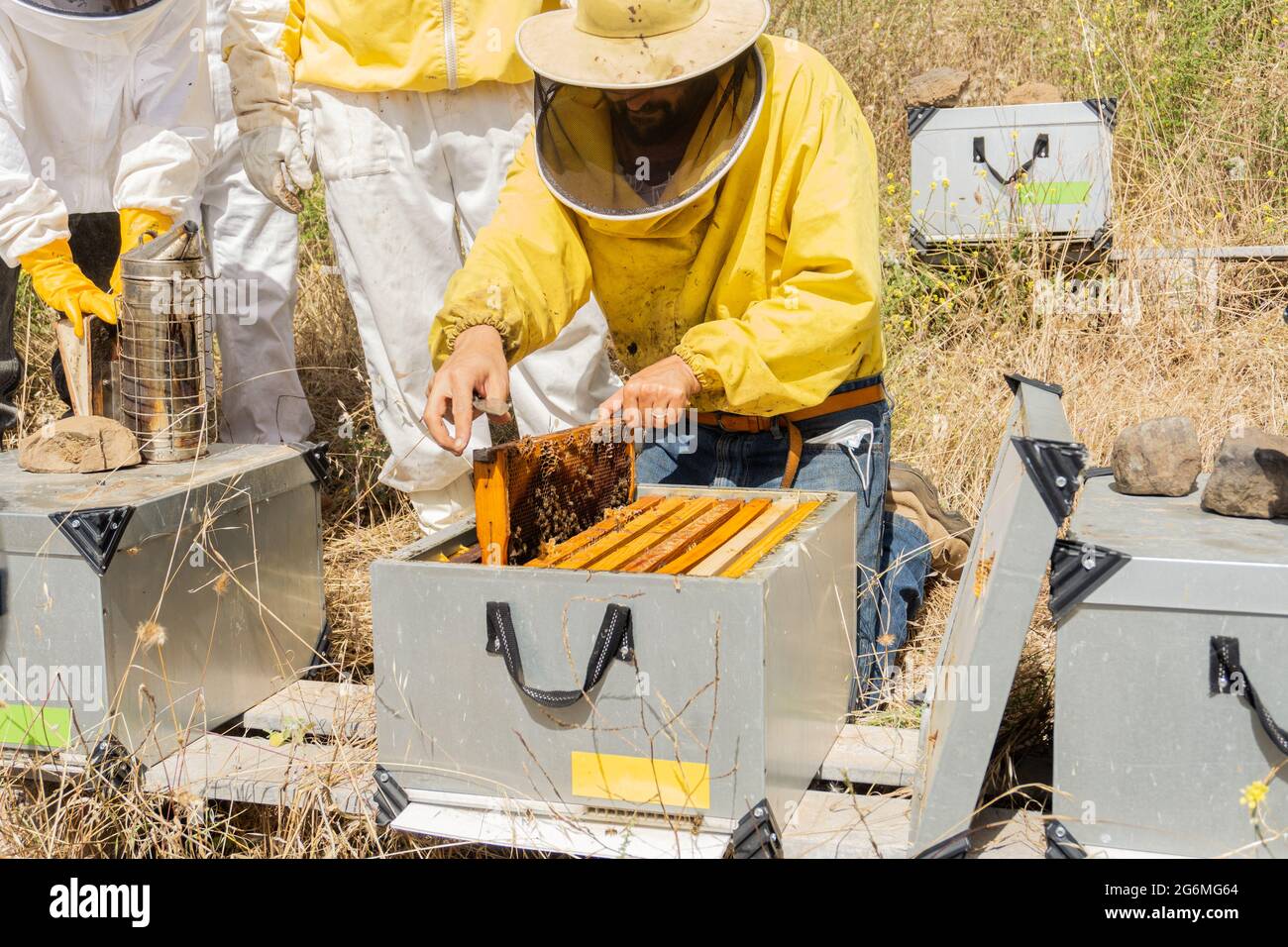 Modern beehive apiary hi-res stock photography and images - Alamy