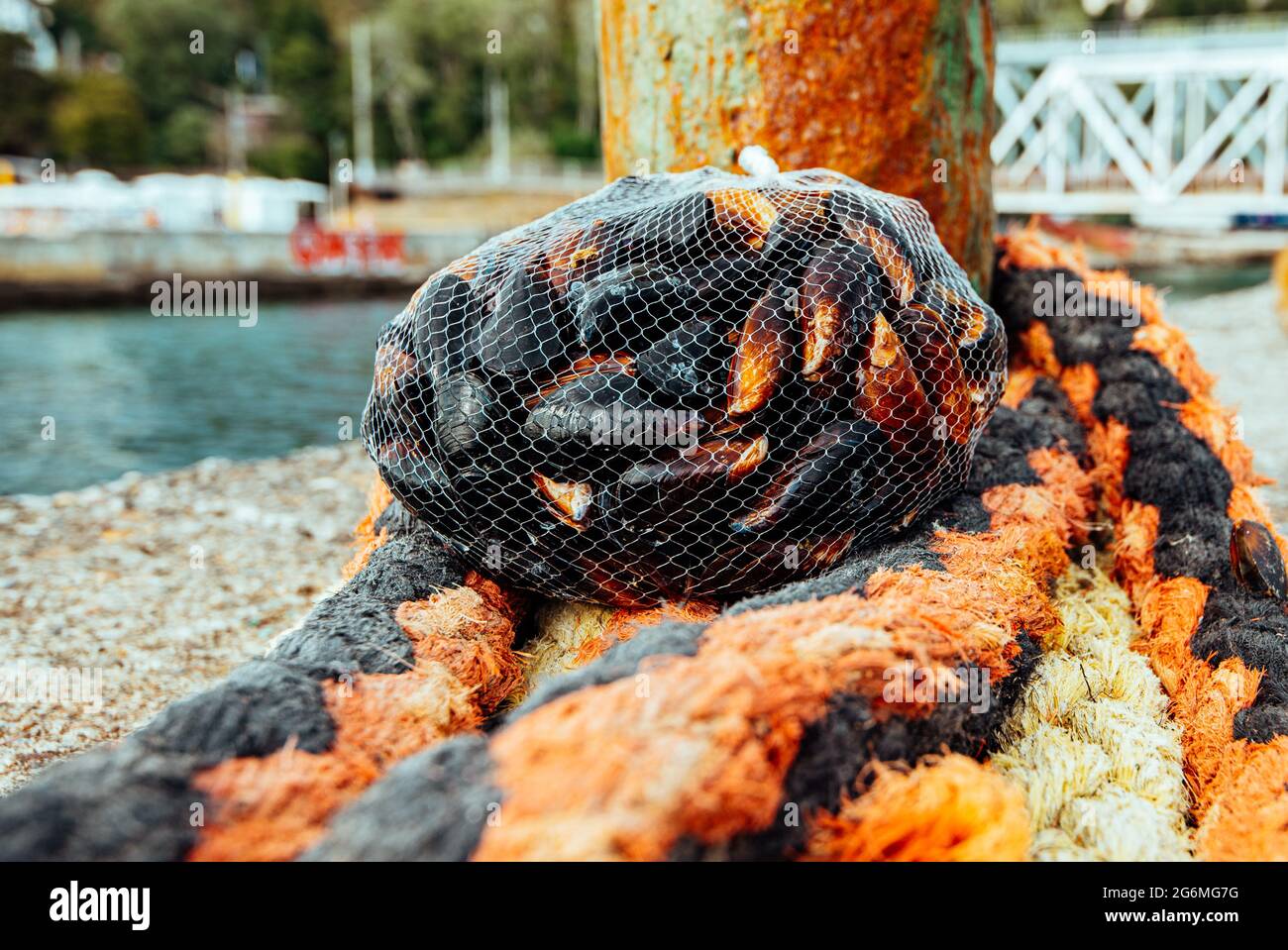 Mussel And Oyster Farm at Helen Terpstra blog