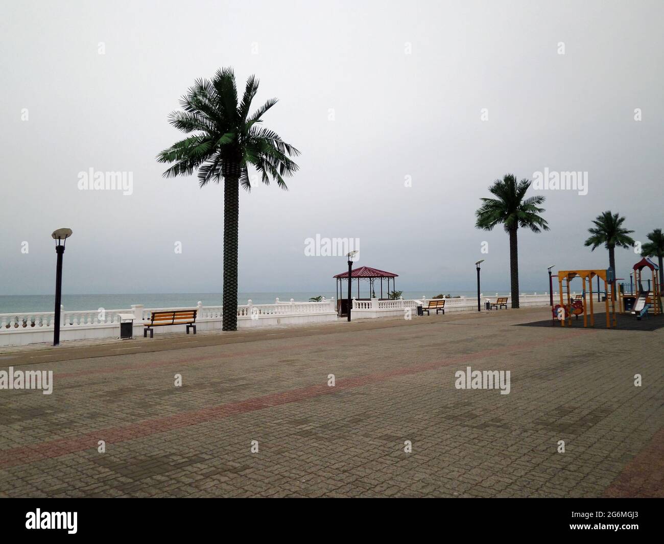 Caspian sea palm tree hi-res stock photography and images - Alamy